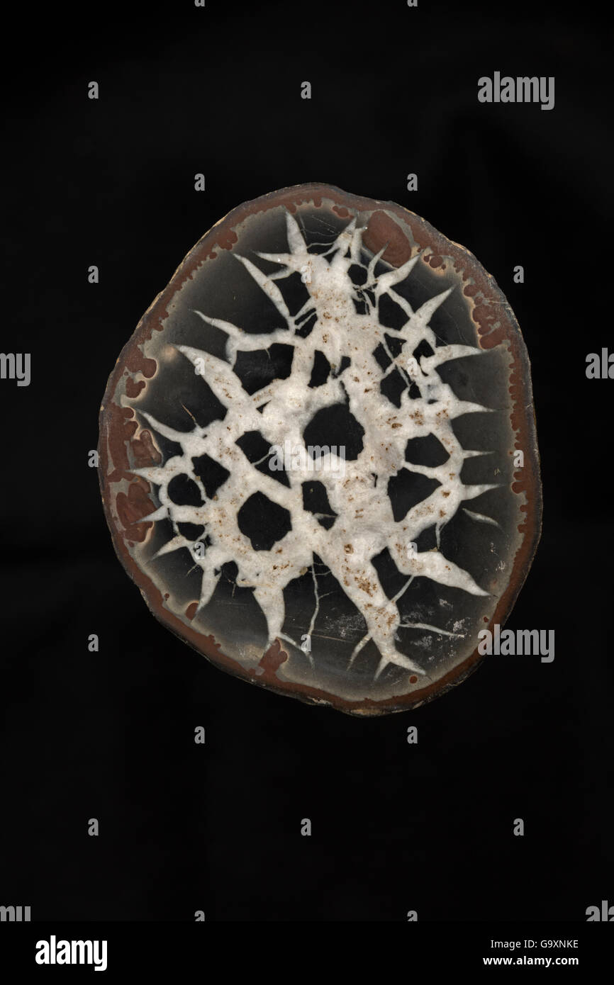 Septarian nodule hi-res stock photography and images - Alamy