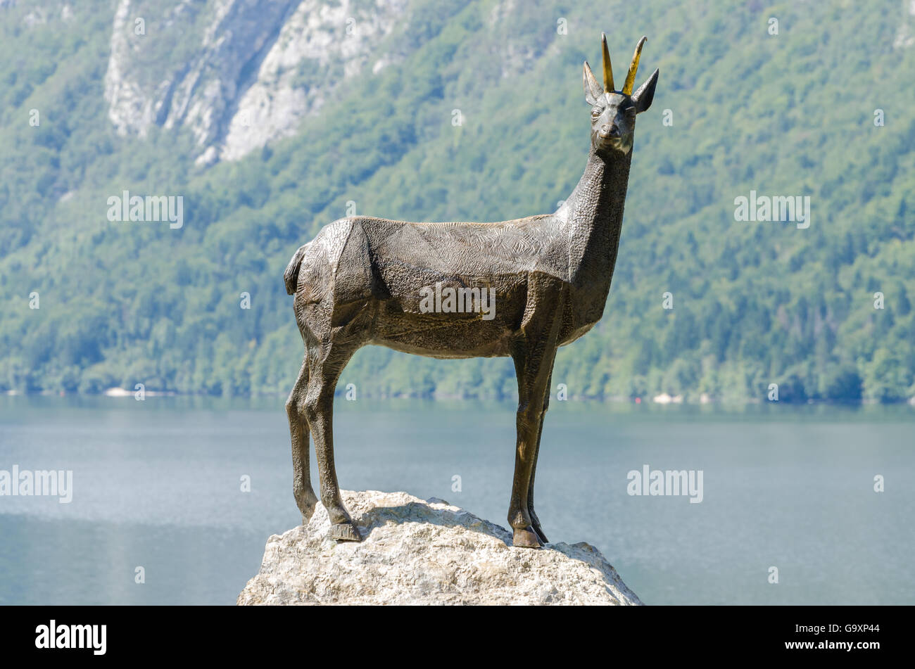Zlatorog (Goldenhorn), the legendary Slovenian chamois Stock Photo - Alamy