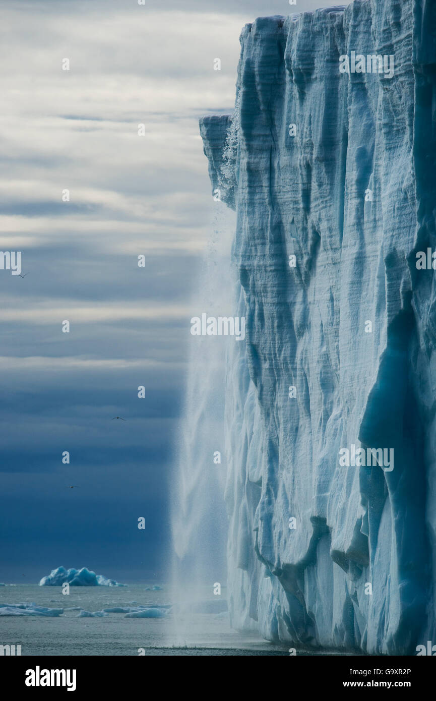 Ice cliff of the Austfonna ice cap with melt water and ice crashing ...