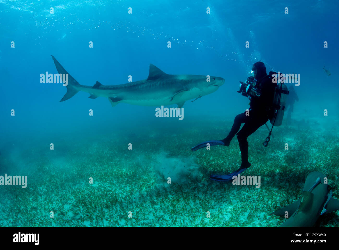 Jim abernethy hi-res stock photography and images - Alamy