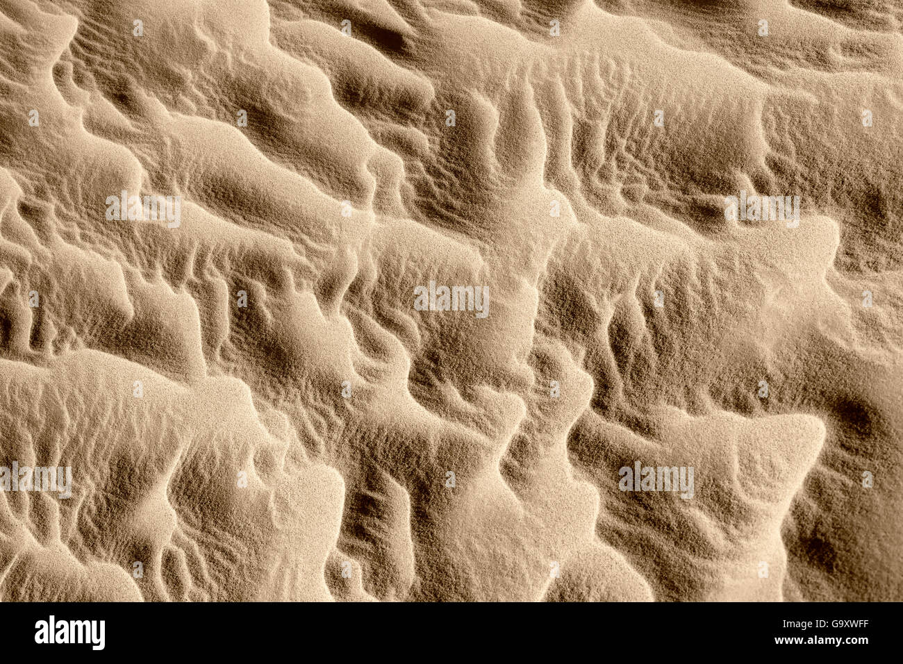 Soft desert ground hi-res stock photography and images - Alamy