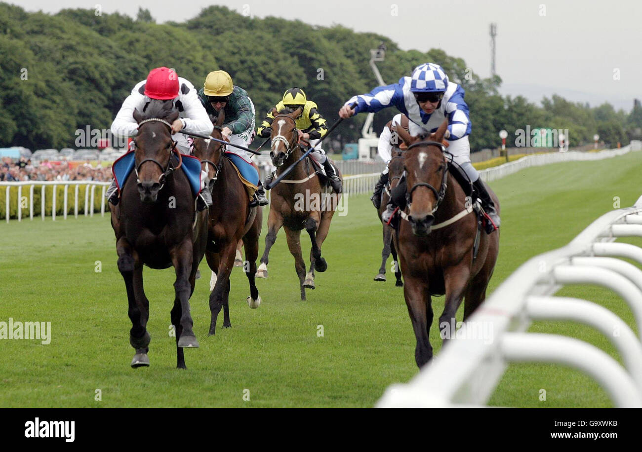 Horse Racing - Haydock Racecourse Stock Photo - Alamy