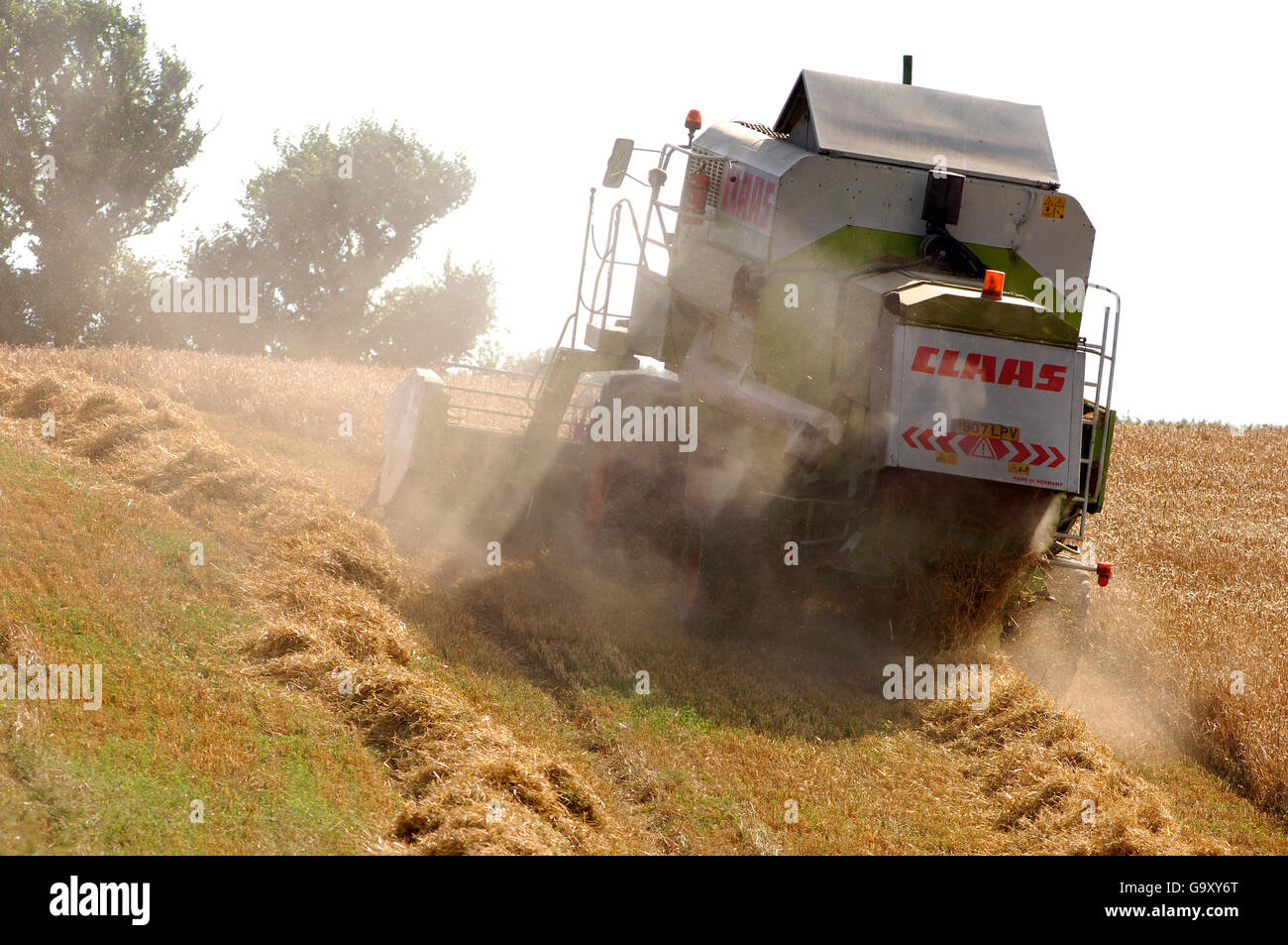 combine harvester cutting hay Stock Photo - Alamy