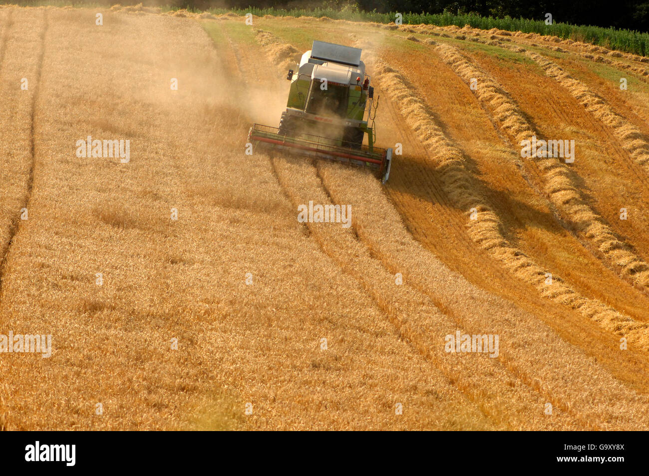 Hay combine hi-res stock photography and images - Alamy