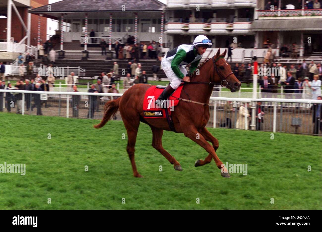 Horse Racing - York Races Stock Photo - Alamy