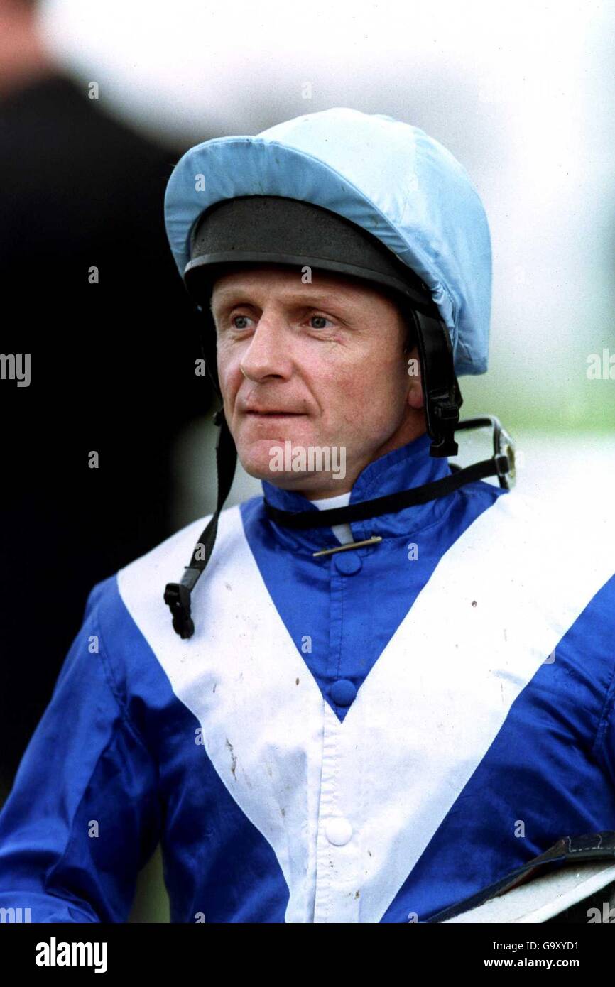 Horse Racing - York Races Stock Photo - Alamy