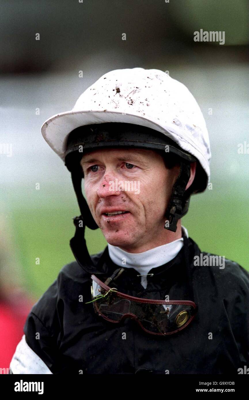 Horse Racing - York Races Stock Photo - Alamy