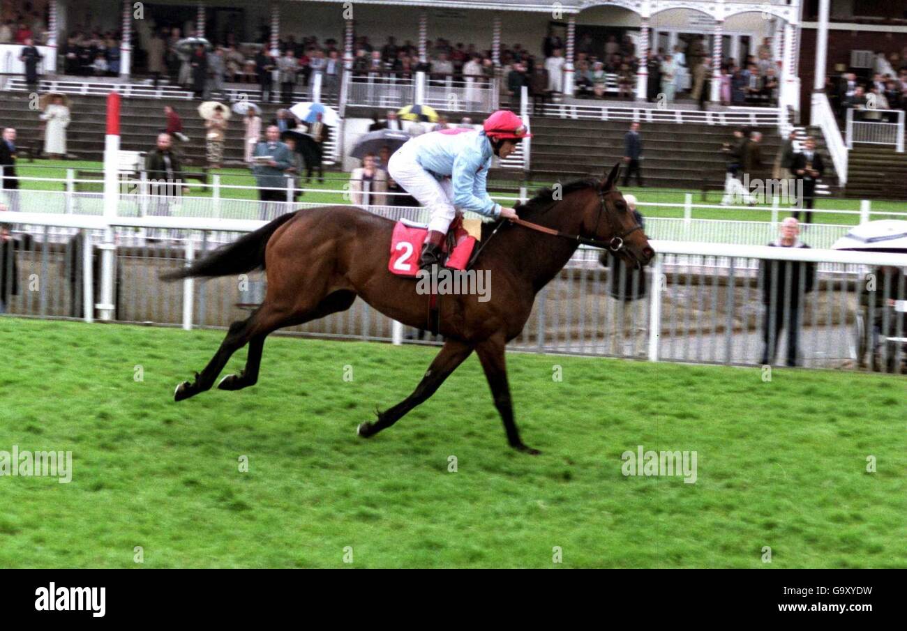 Horse Racing - York Races Stock Photo - Alamy