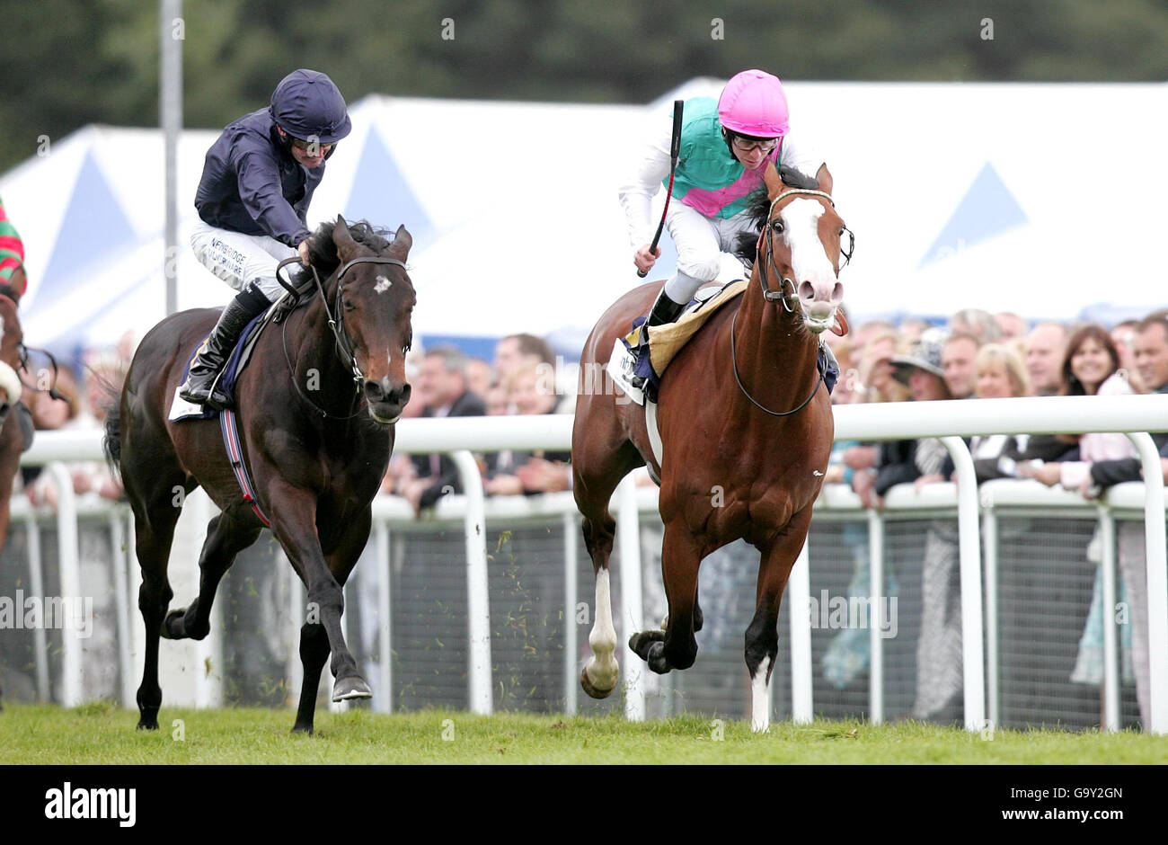 Horse Racing - Chester Racecourse Stock Photo - Alamy