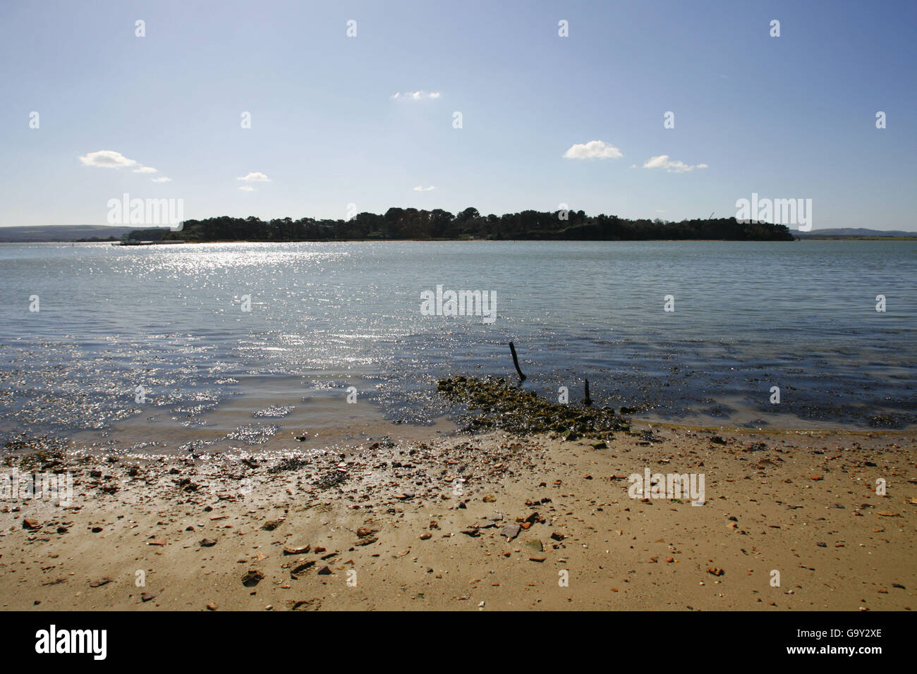 General view of Furzey Island in Poole Harbour which is owned by BP as ...