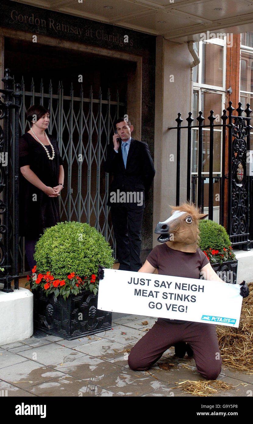 A peta protestor hi-res stock photography and images - Alamy