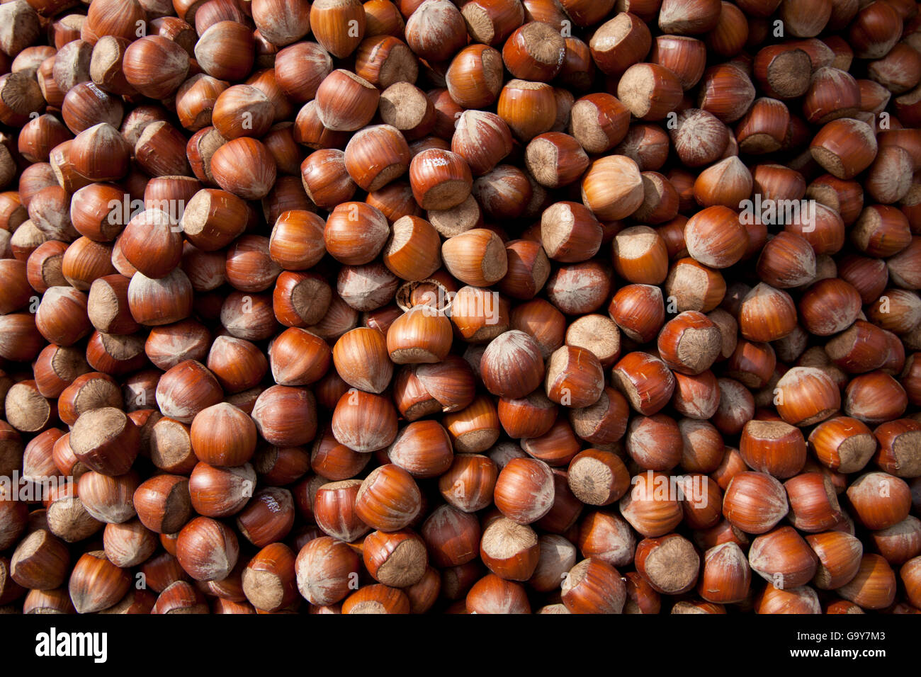 Hazel nuts, background Stock Photo - Alamy