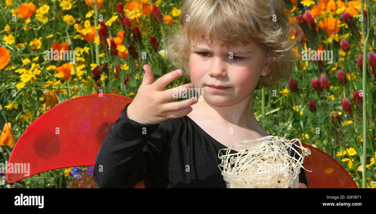 Holly Hobcraft, five, releases 500 ladybirds in the Fetzer Sustainable ...