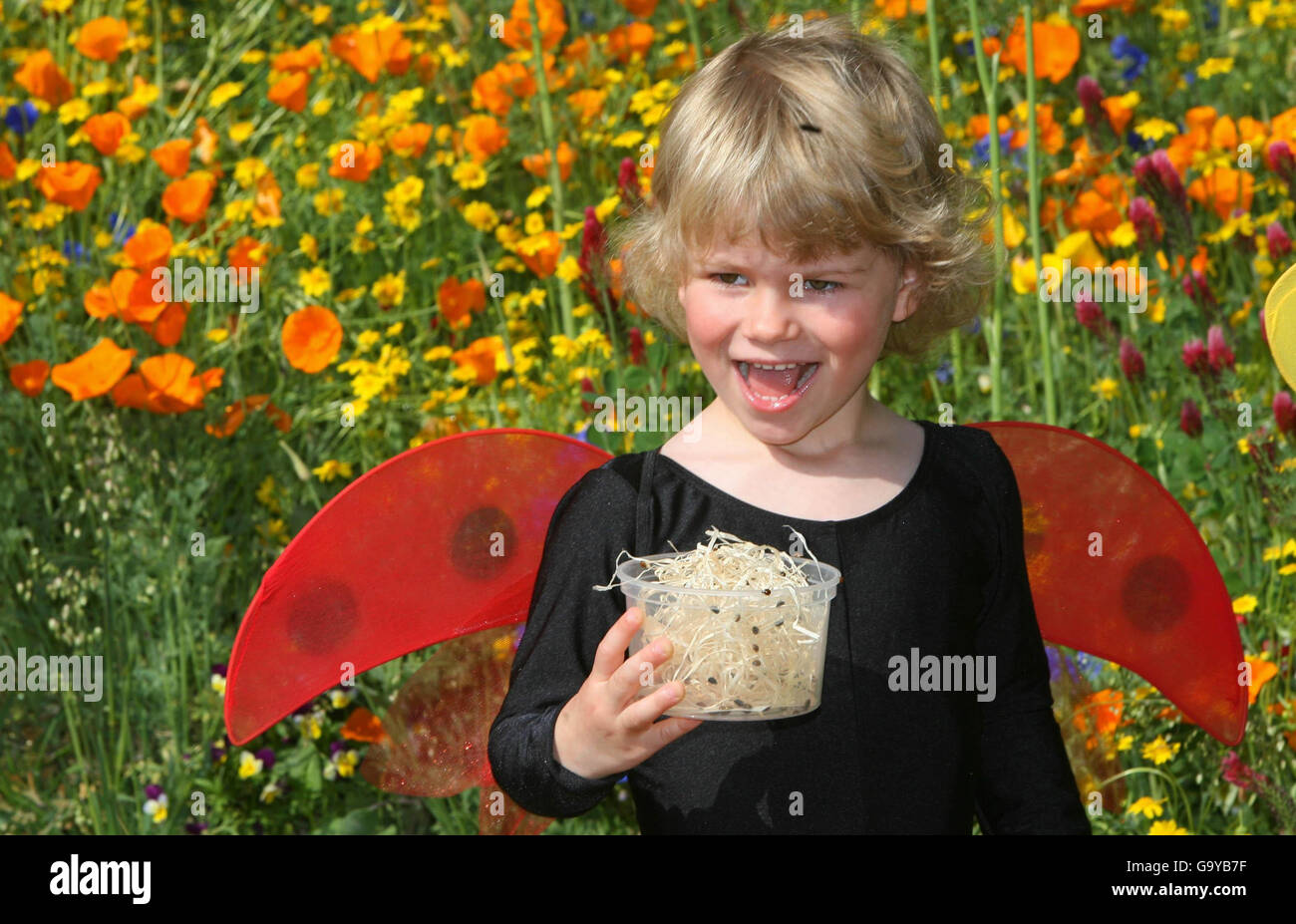 Holly Hobcraft, five, releases 500 ladybirds in the Fetzer Sustainable ...