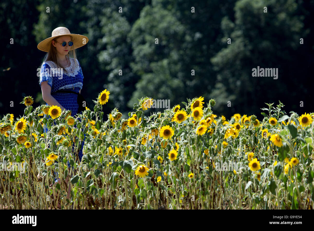 Cumming, Ga, USA. 1st July, 2016. RACHEL BEVILLE walks through a field ...