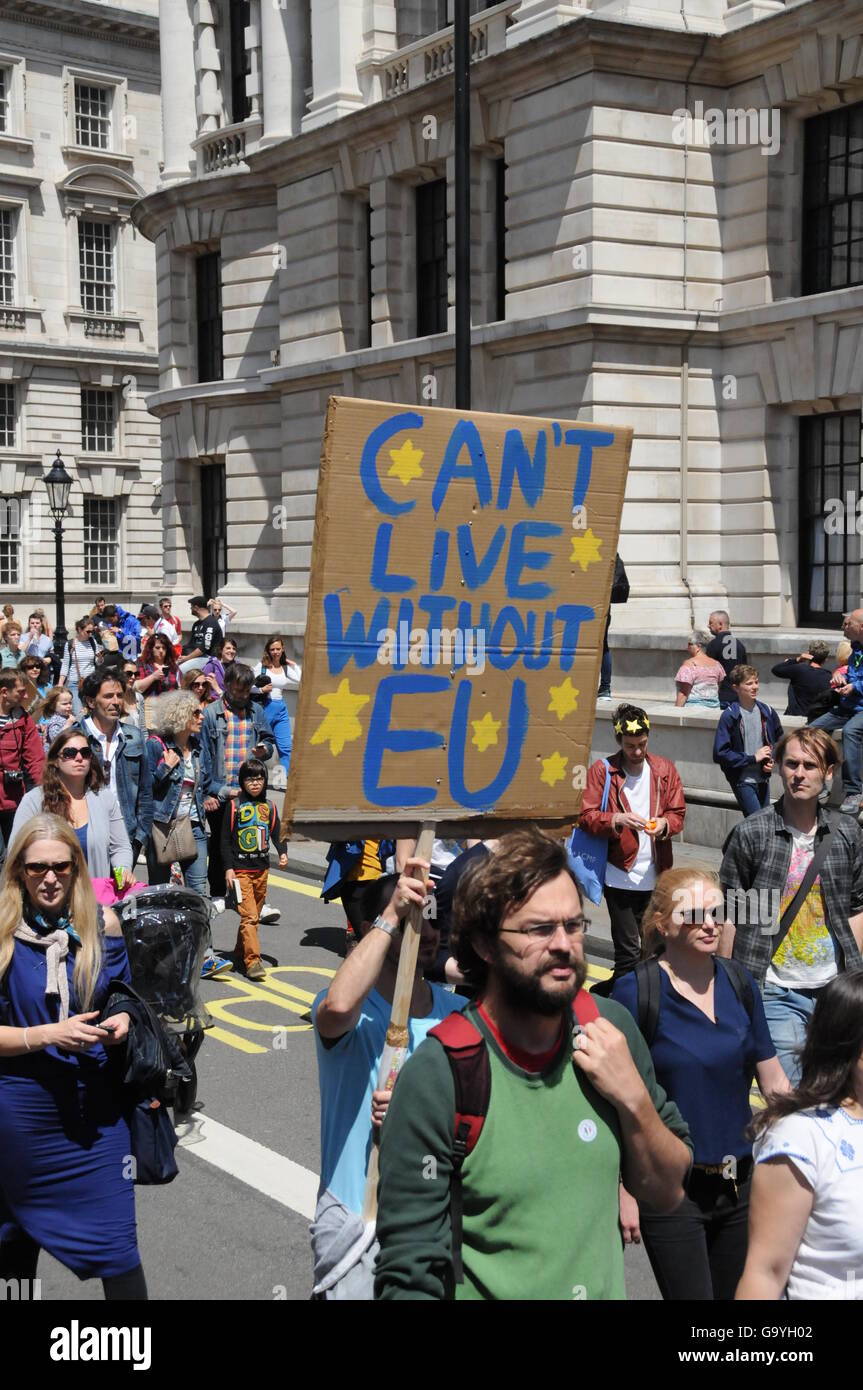 Pro-EU Protest in London Stock Photo - Alamy