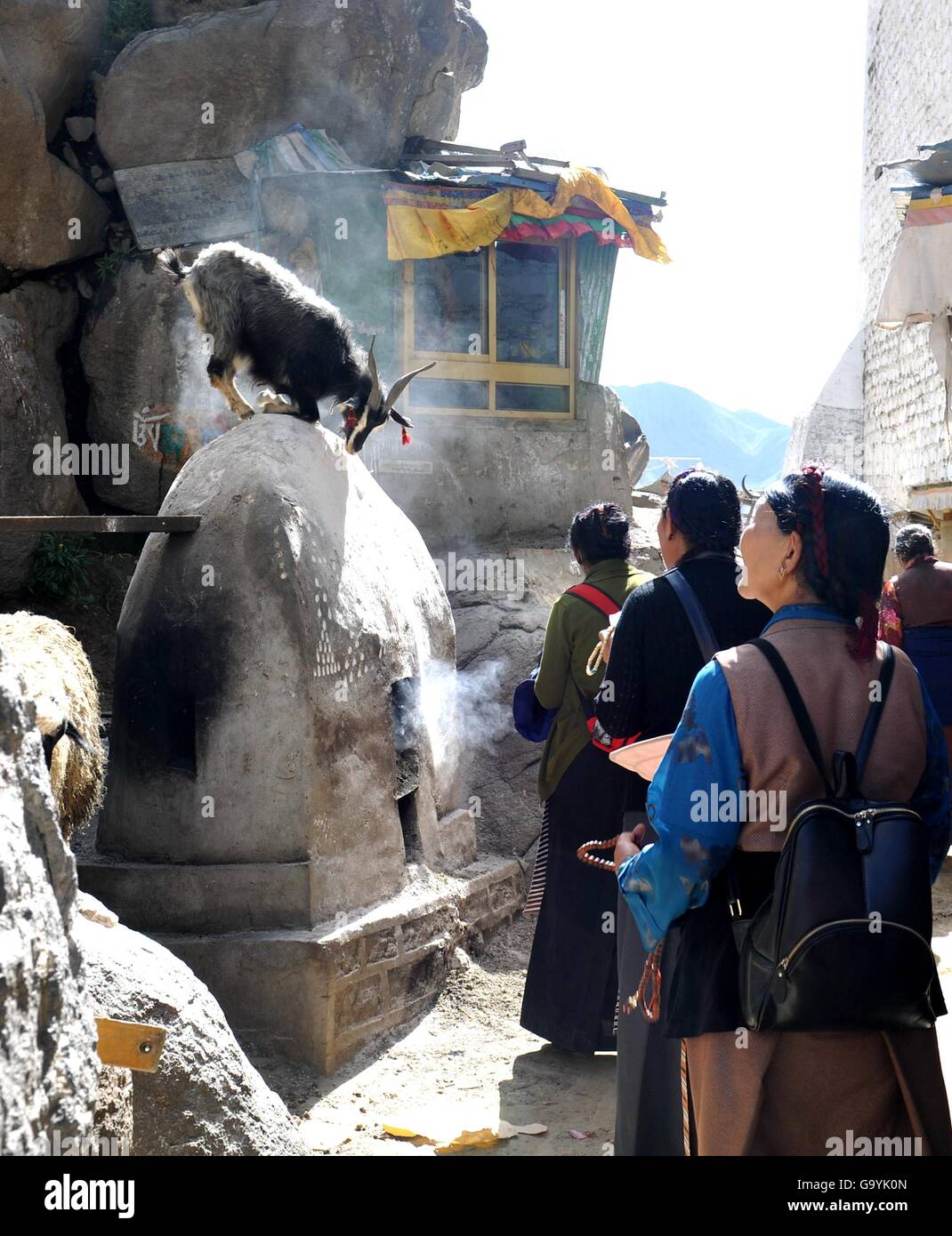Tsampa tibet hi-res stock photography and images - Alamy