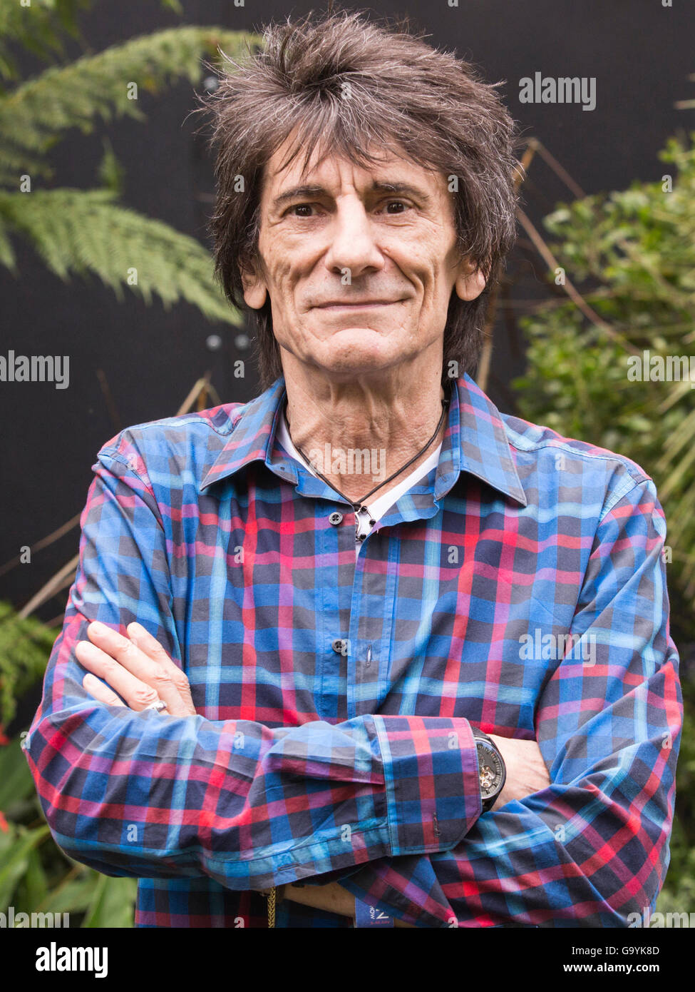 Ronnie wood hi-res stock photography and images - Alamy