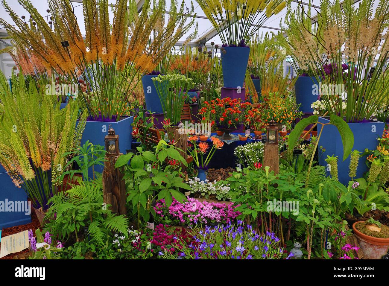 The RHS Hampton Court Palace Flower Show Preview Evening 2016 was be ...