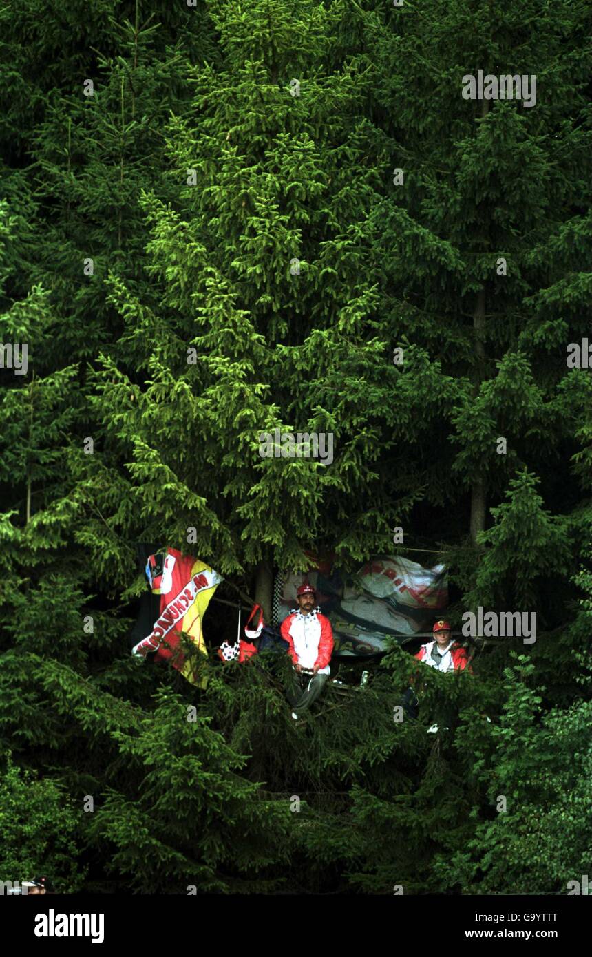 Formula One - Belgian Grand Prix - Practice. The forest trees make for ...