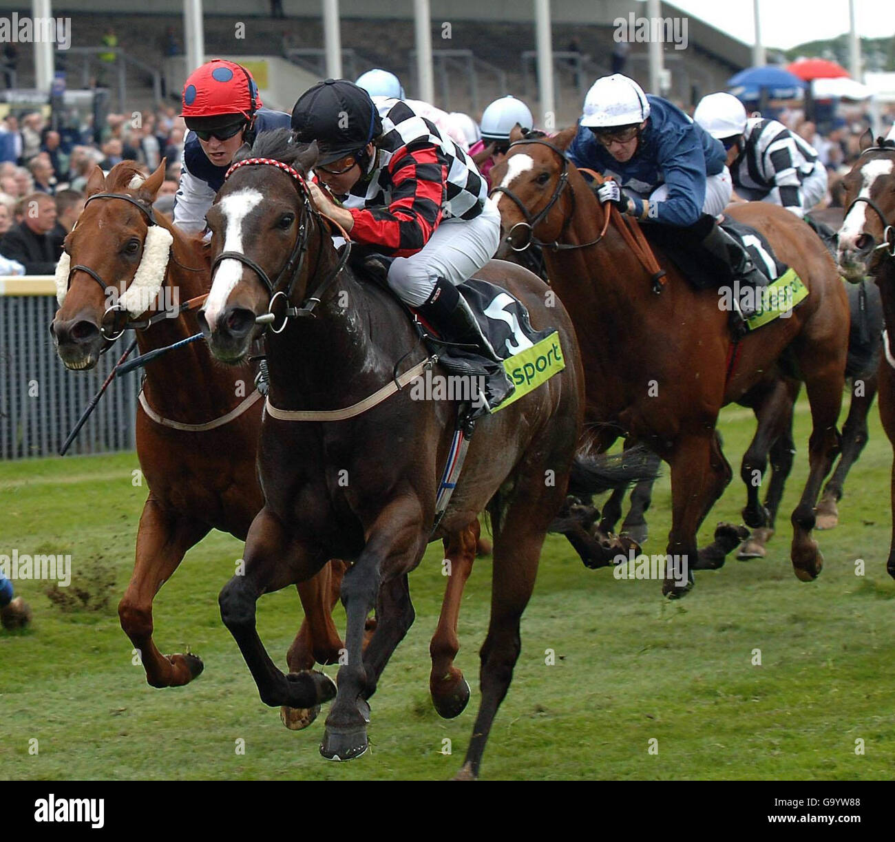 Horse Racing - York Racecourse Stock Photo - Alamy