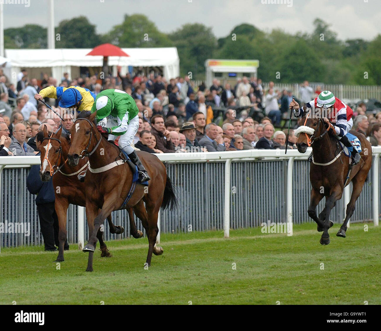 Kayf Aramis and Marc Halford (centre) win the Robert Pratt Memorial ...