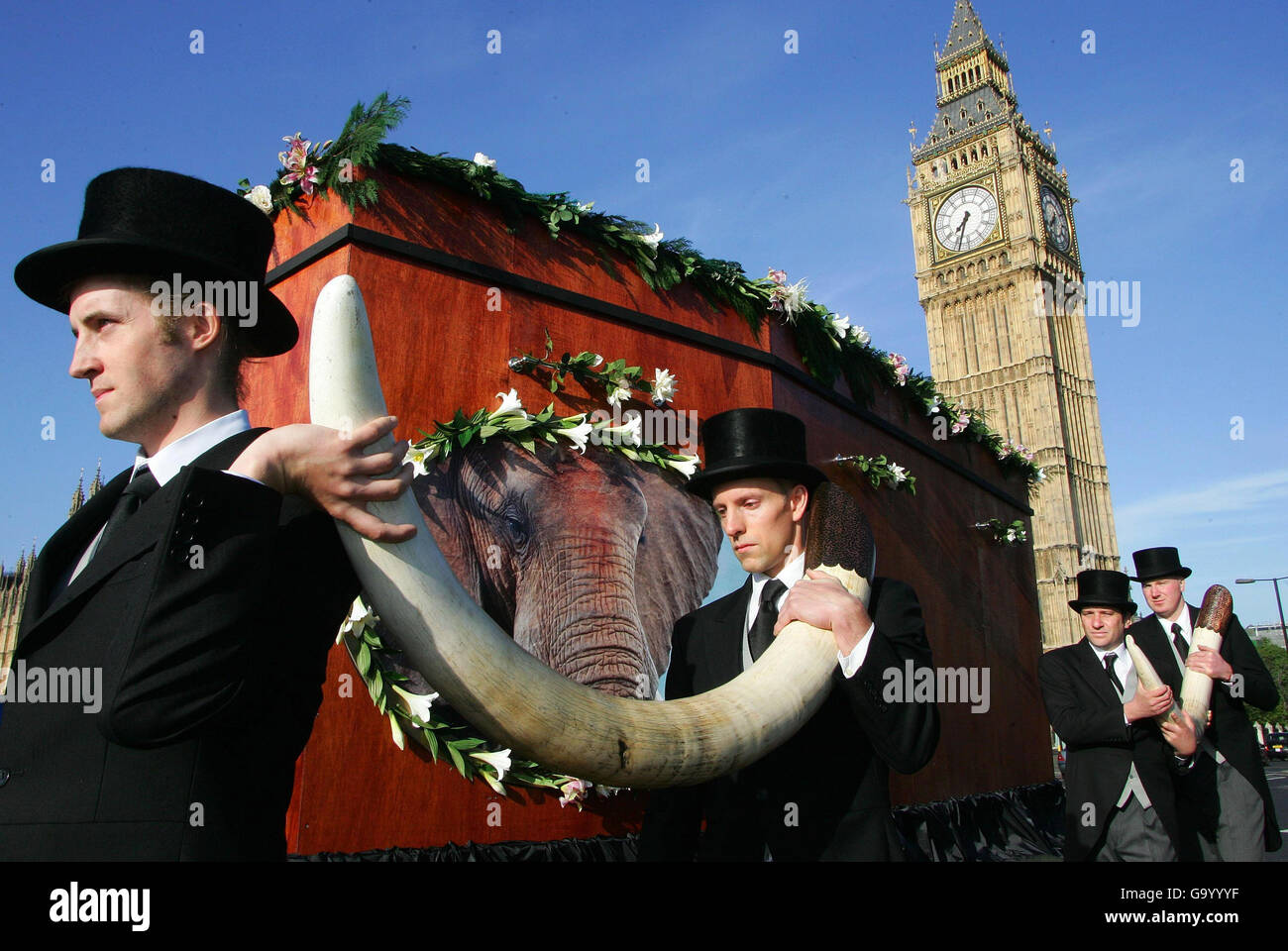 Elephant coffin hi-res stock photography and images - Alamy
