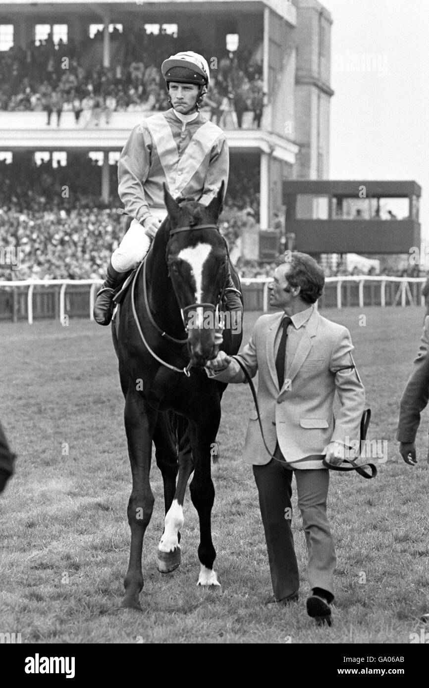 Chief Singer, Ray Cochrane up, winner of the July Cup Stock Photo - Alamy
