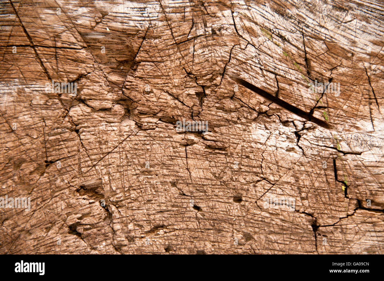 Old wood pattern hi-res stock photography and images - Alamy