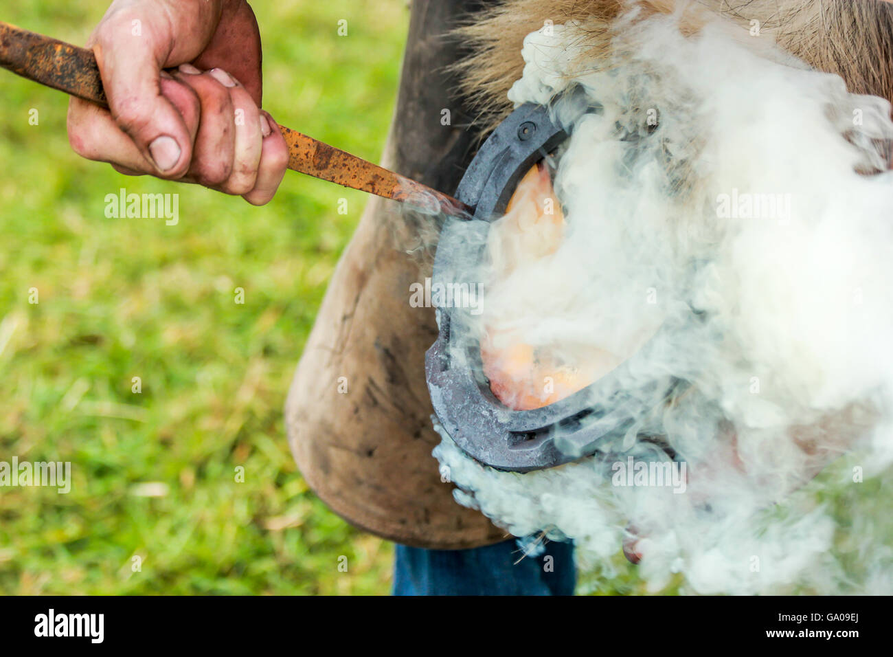Black smith smithing horse shoe Stock Photo - Alamy