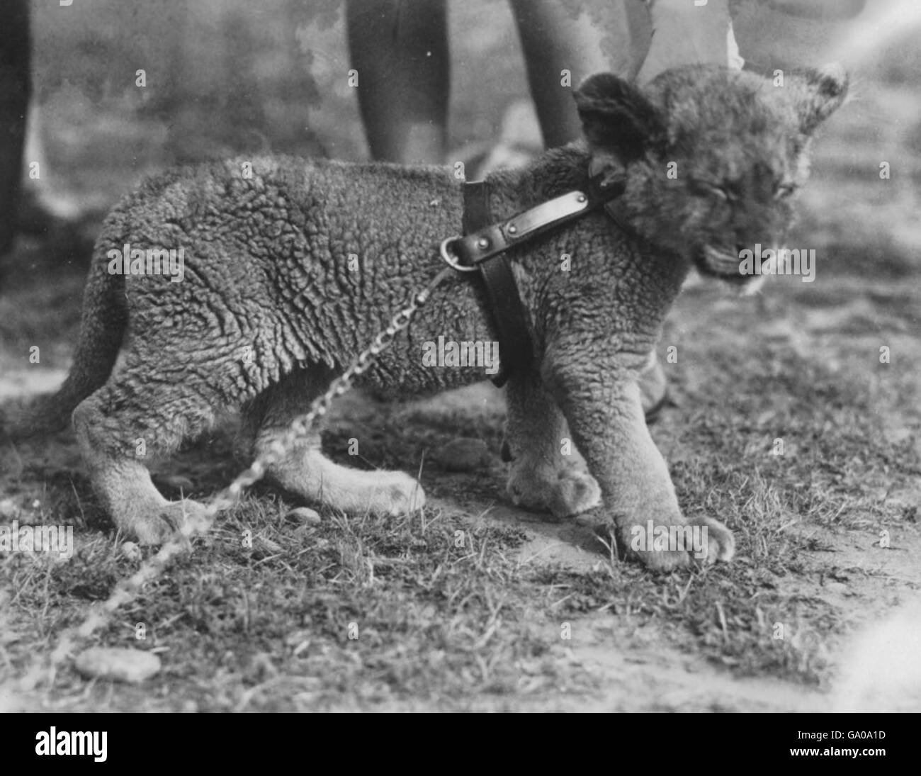 Photograph from the Everest Waid Collection, capturing a Lockheed Model ...