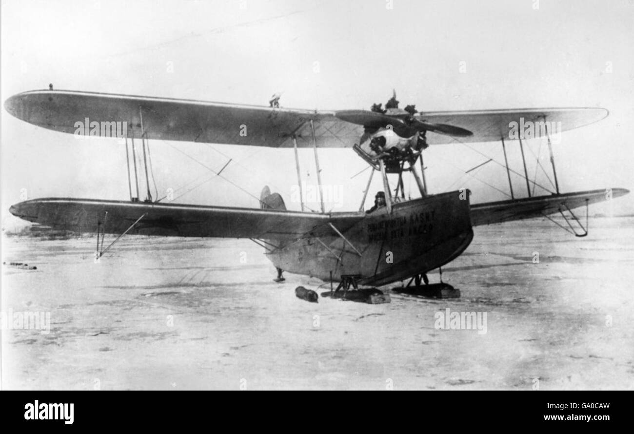 Image from the Ray Wagner Collection, showing an early stage of ...