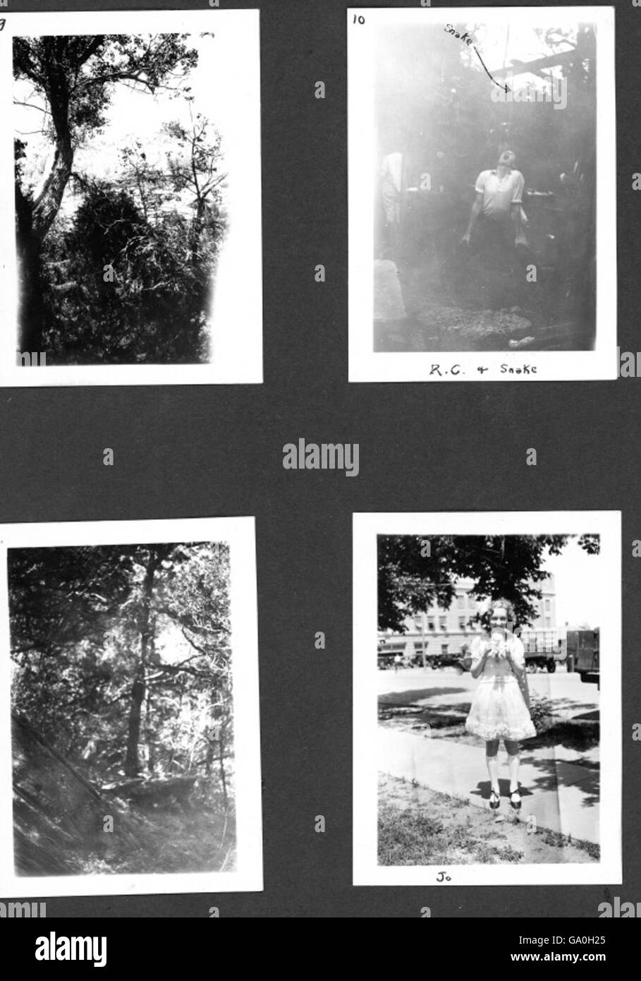 Robert Reedy Collection Image Stock Photo - Alamy