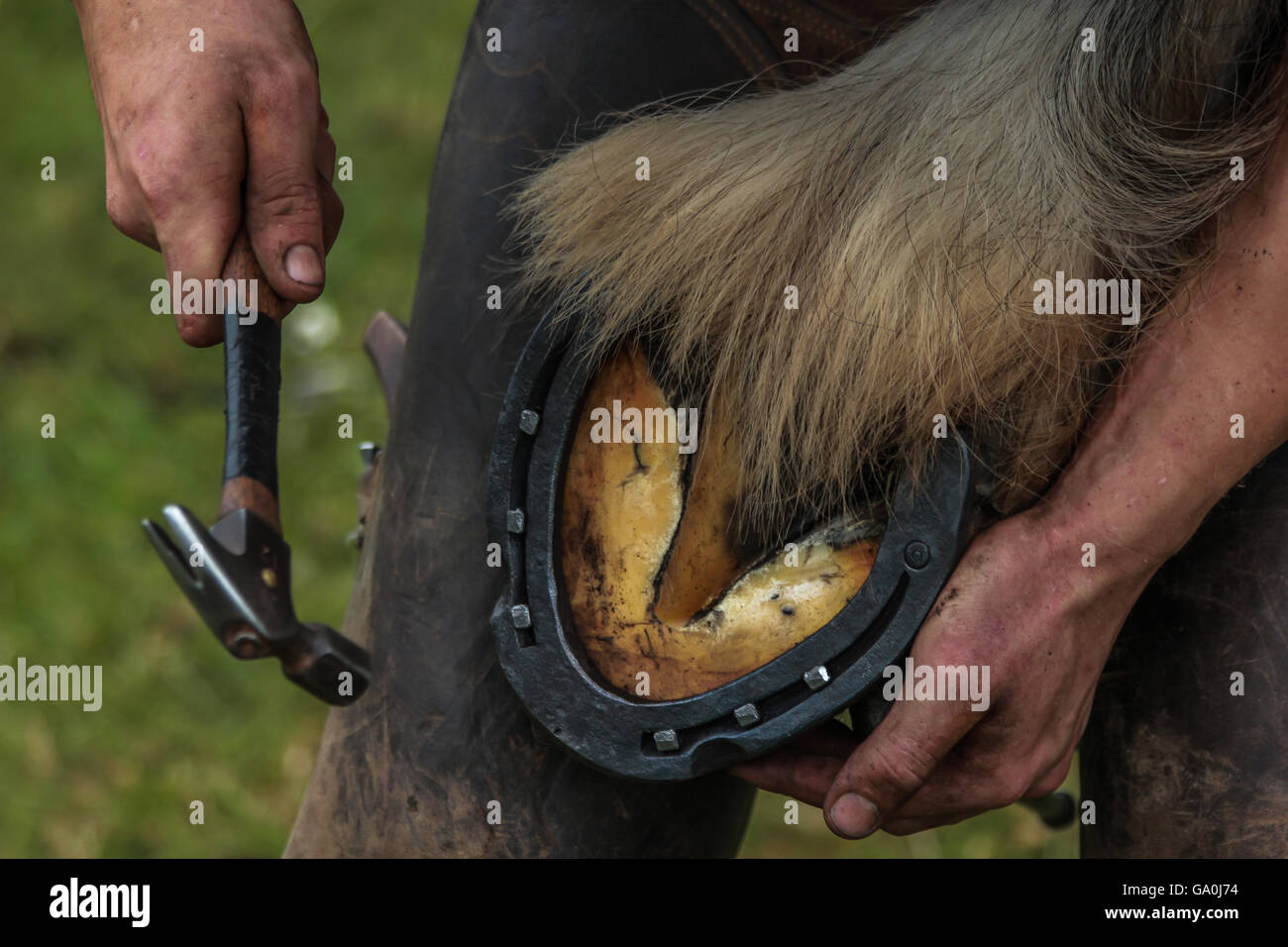 Black smith smithing horse shoe Stock Photo - Alamy