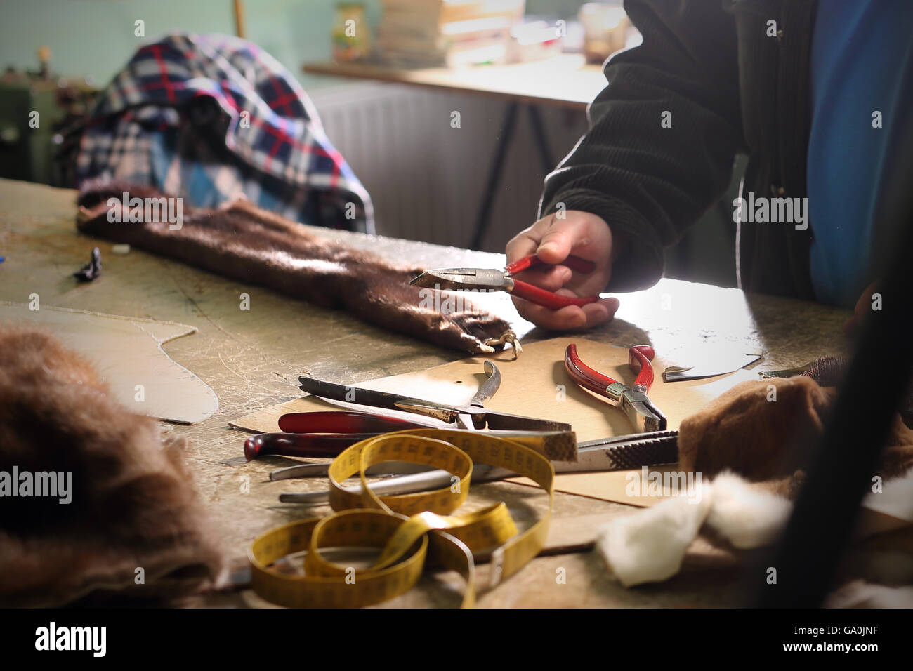 Workshop furrier, utensils, tools and pieces of natural fur Stock Photo ...