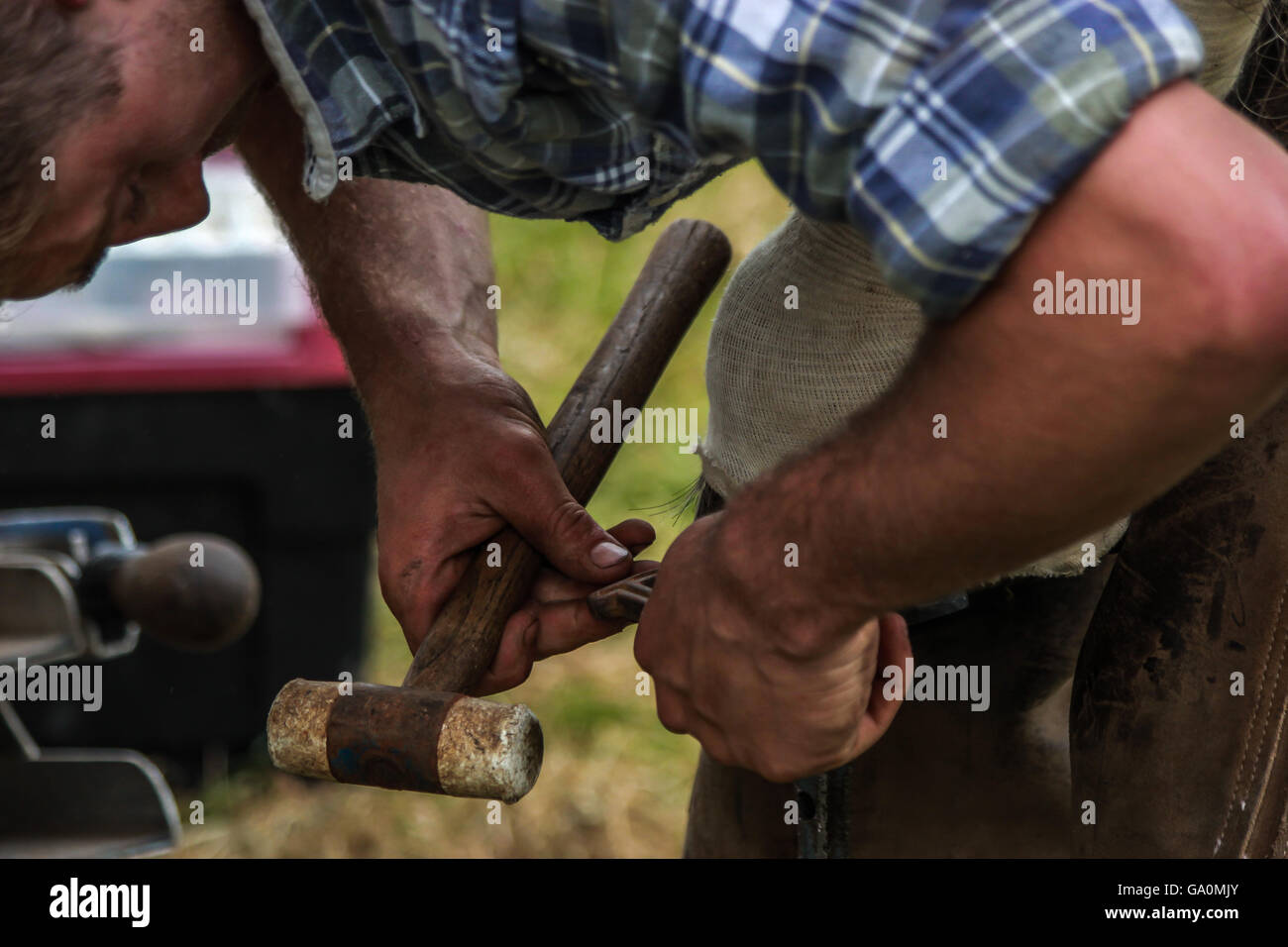 Black smith smithing horse shoe Stock Photo - Alamy