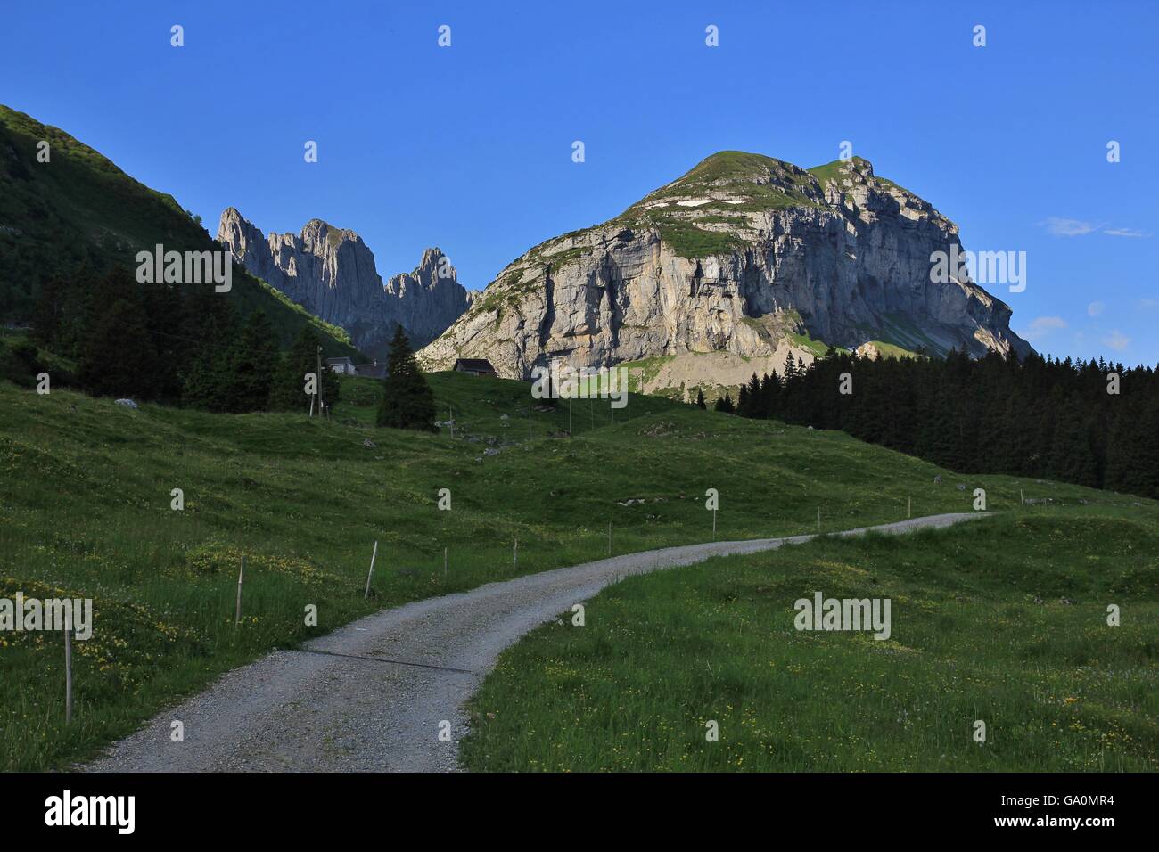 Country road and mountains of the Alpstein Range. Summer scene in ...