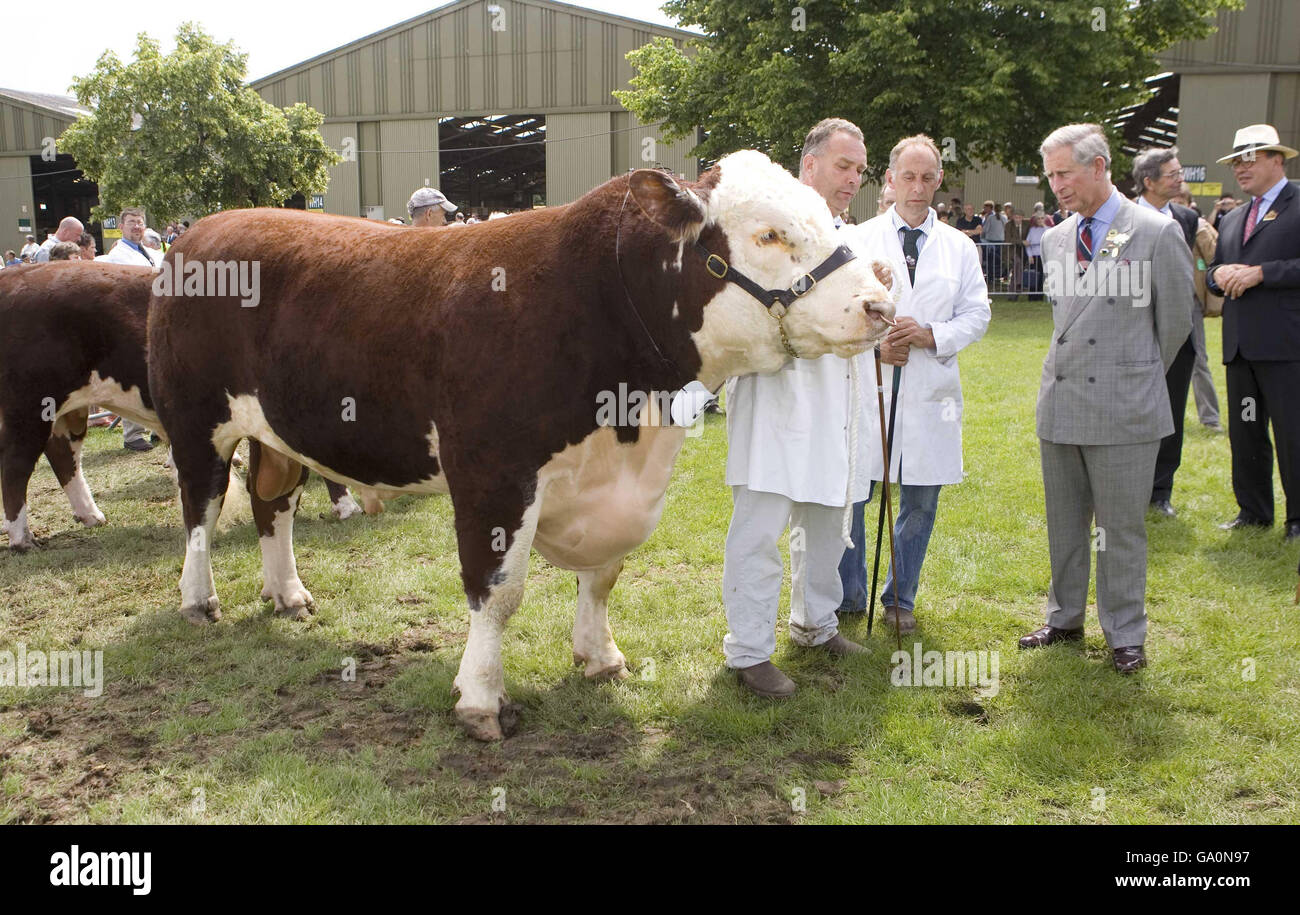 Three Counties Show in Malvern Stock Photo - Alamy