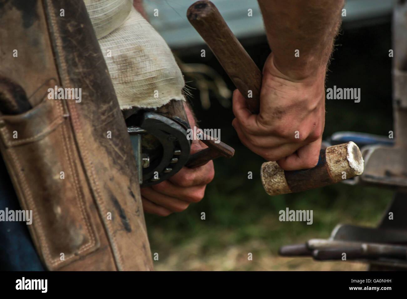 Black smith smithing horse shoe Stock Photo - Alamy