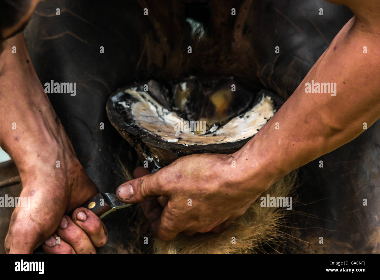 Hand smithing hi-res stock photography and images - Alamy