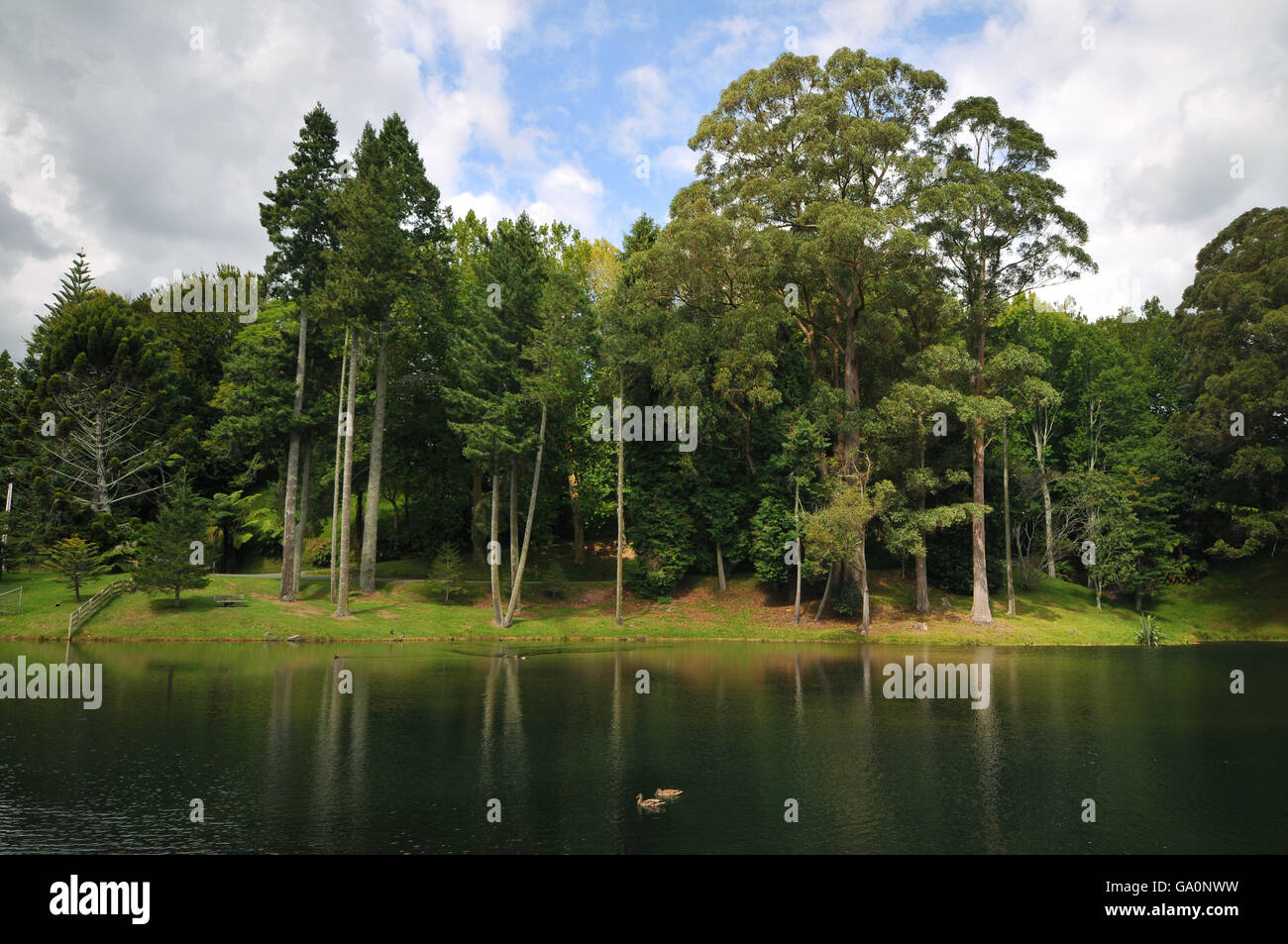 Landscape of Trees Behind Lake Stock Photo - Alamy
