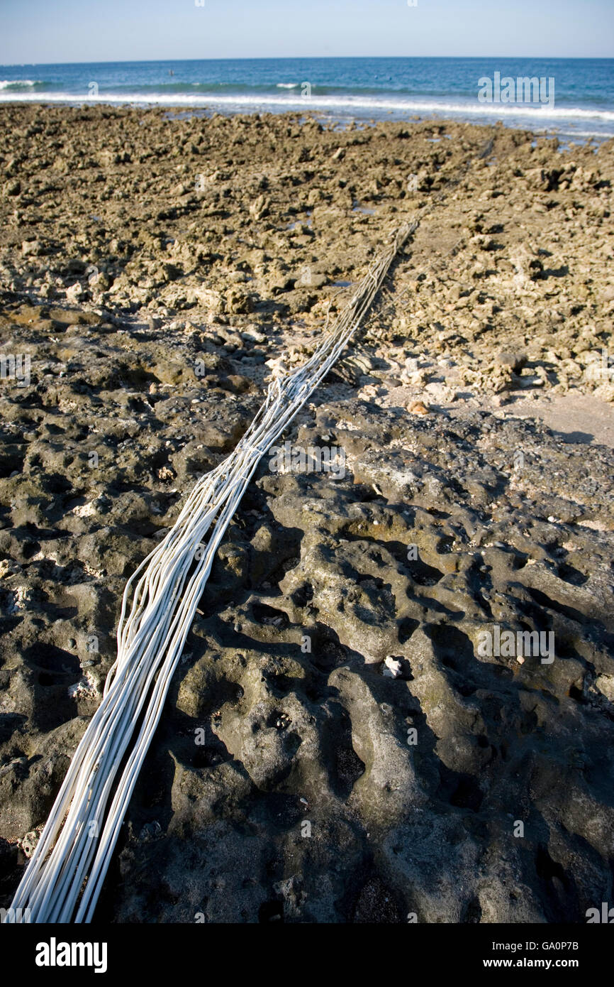 Cables connecting current from the power supply on the beach to the ...