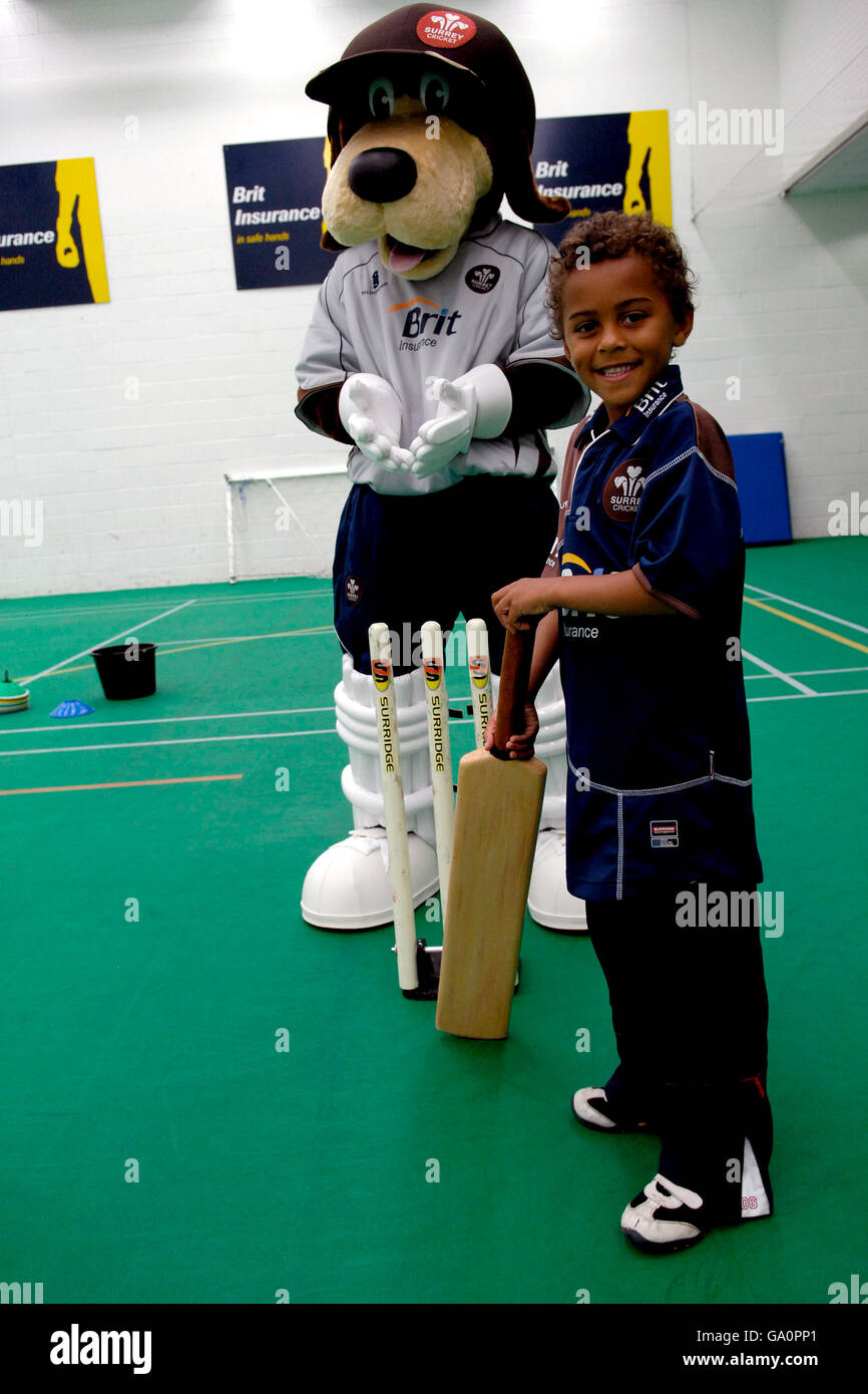Cricket mascot bat smile pose hi-res stock photography and images - Alamy