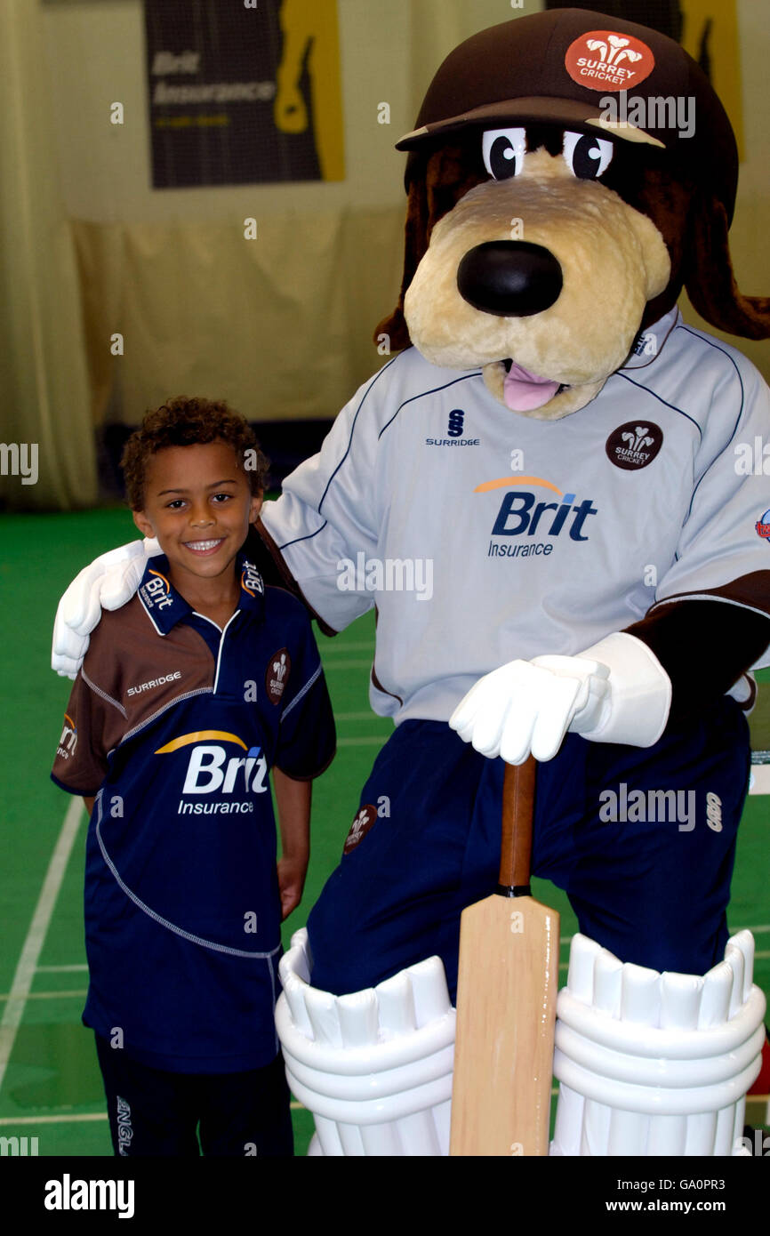 Cricket mascot bat smile pose hi-res stock photography and images - Alamy