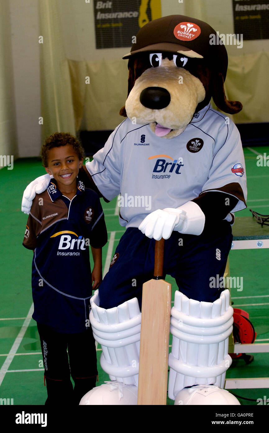 Cricket mascot bat smile pose hi-res stock photography and images - Alamy