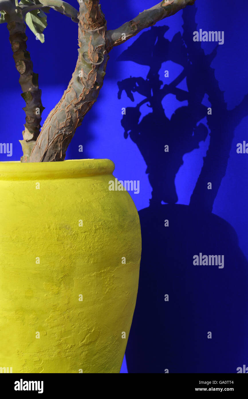 Blue flower pot art hi-res stock photography and images - Alamy