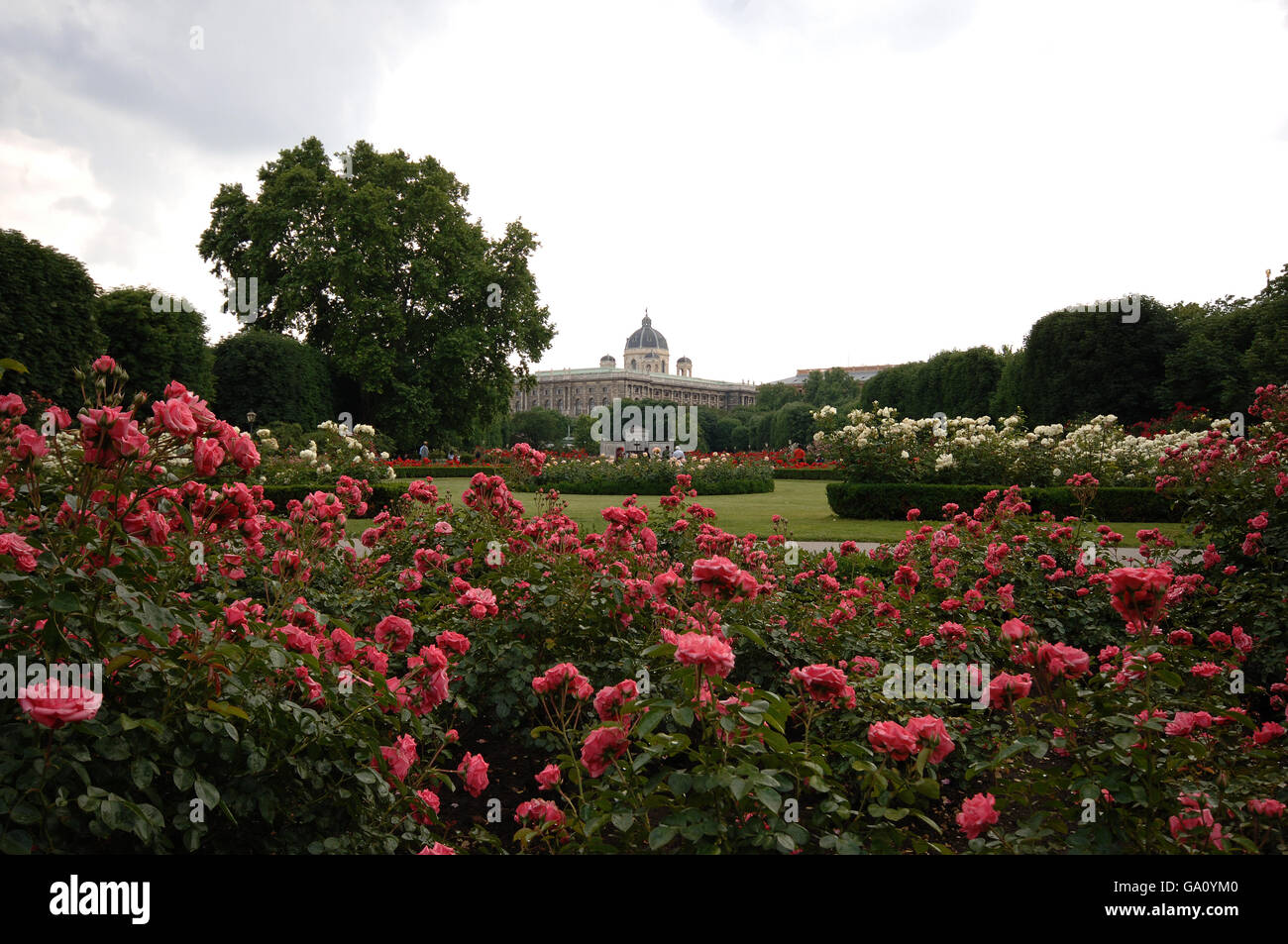Travel Stock - Vienna - Austria. Rose garden in the Volksgarten Stock ...