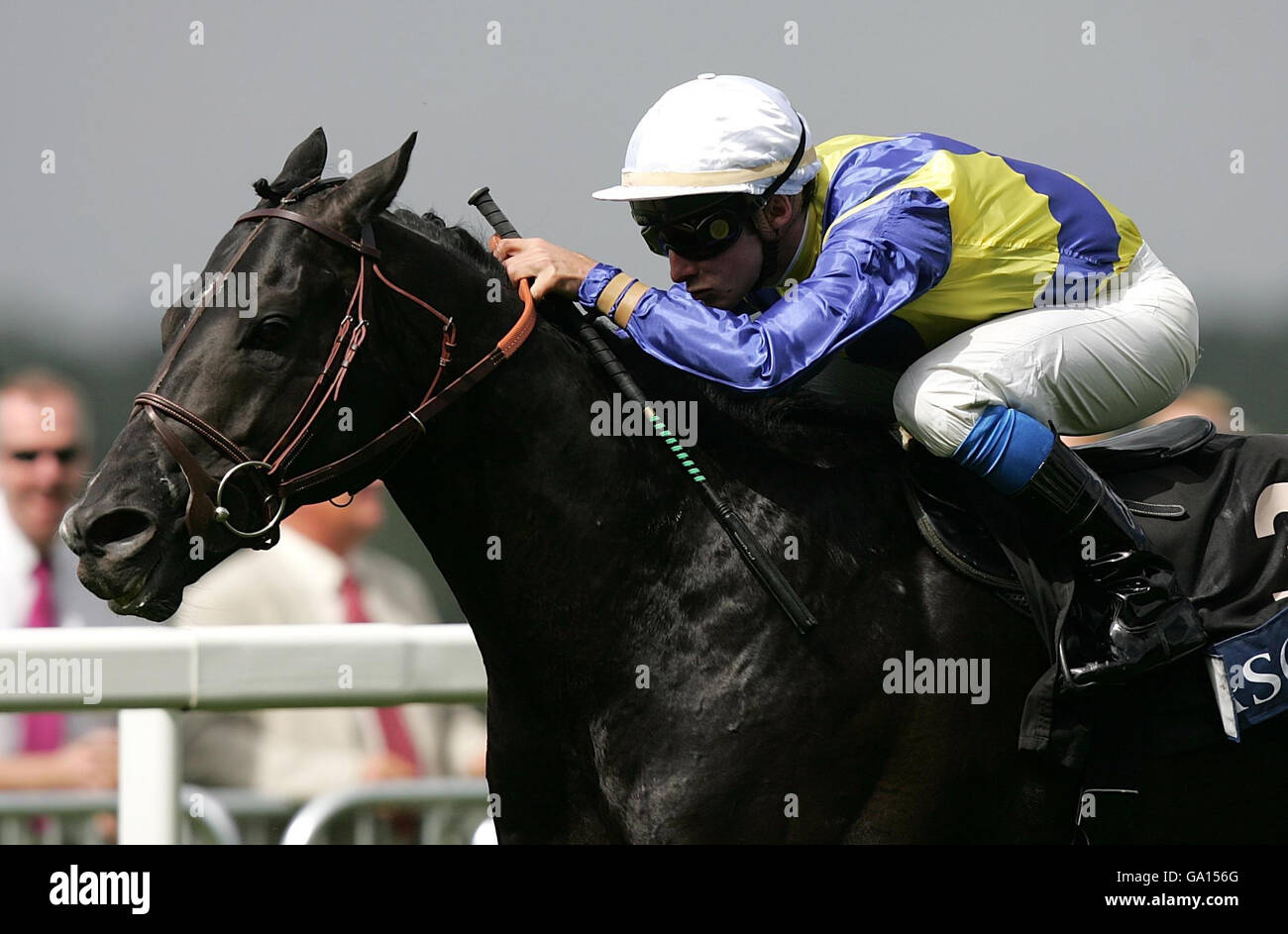 Manduro ridden by Stephane Pasquier wins the Prince of Wales's Stakes ...