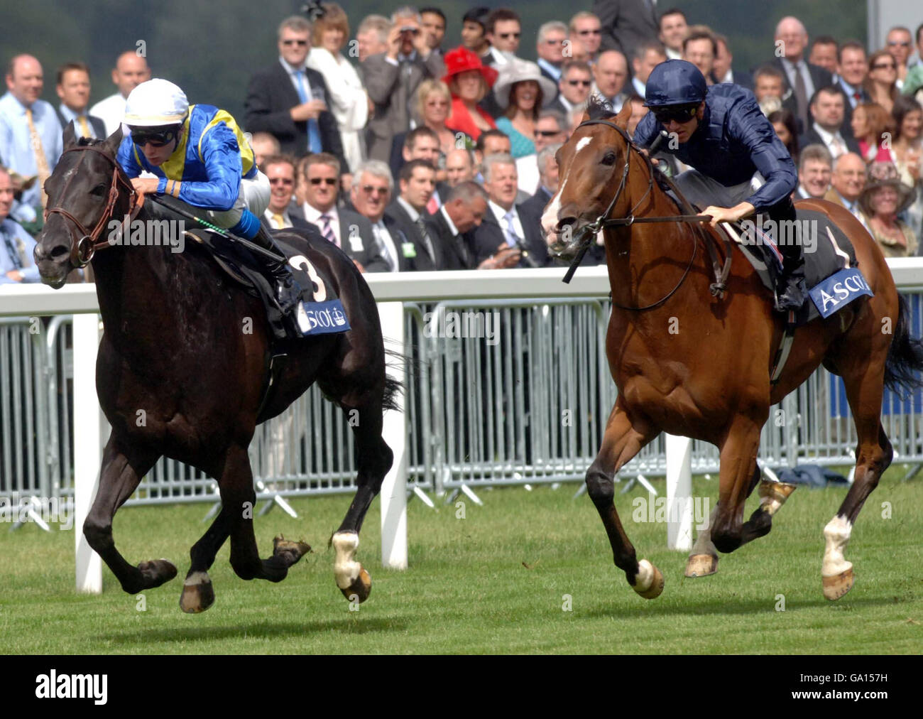 Manduro and jockey stephane pasquier at ascot racecourse hi-res stock ...