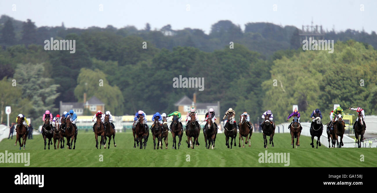 30 runners in the Royal Hunt Cup make their way up the straight mile at ...